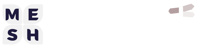 Why MESH?